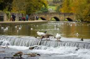 Charming Sheldon Village in the Derbyshire Peak District