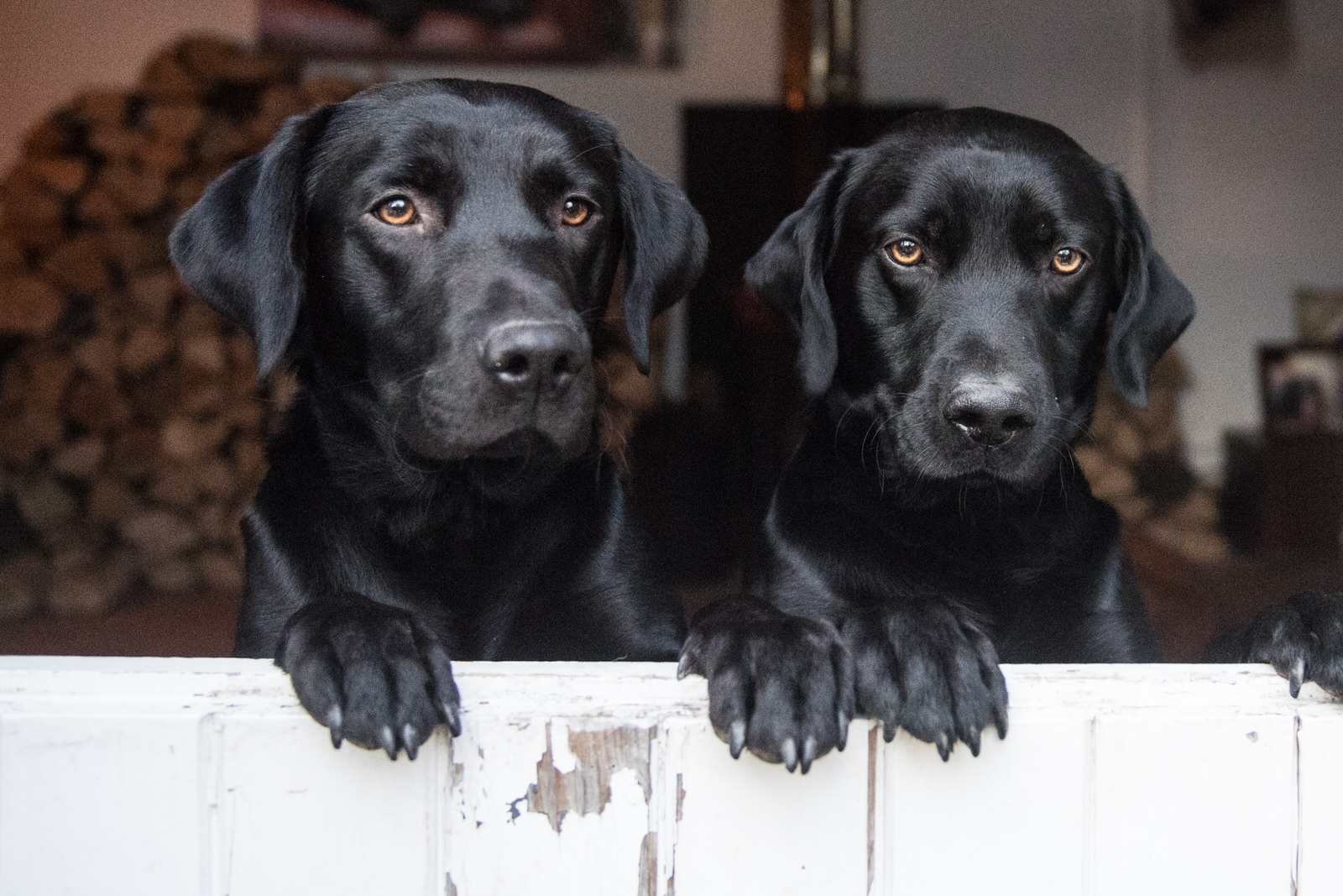 Draft Experiences - Lets Go Peak District