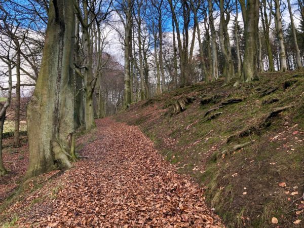 Hathersage Walk (Fairy Woods) - 2 miles | Beautiful Autumn Walk