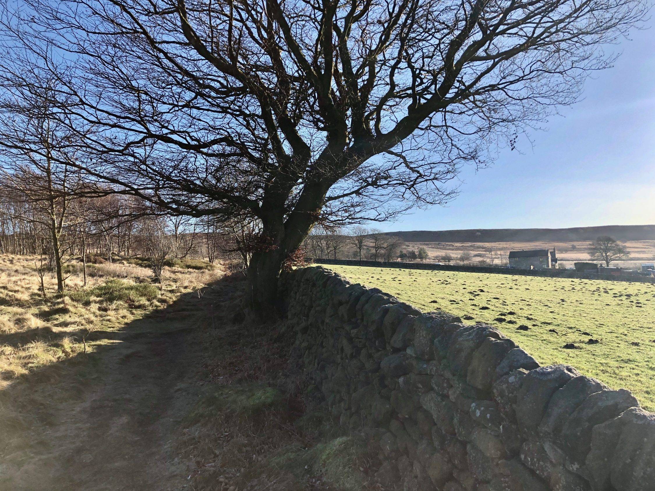 Hathersage via Longshaw (8 miles) - Lets Go Peak District
