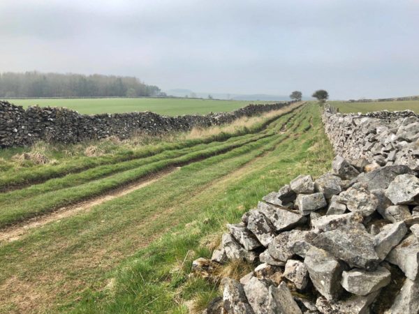 Best Minninglow Walk - High Peak Trail via Minninglow Hill