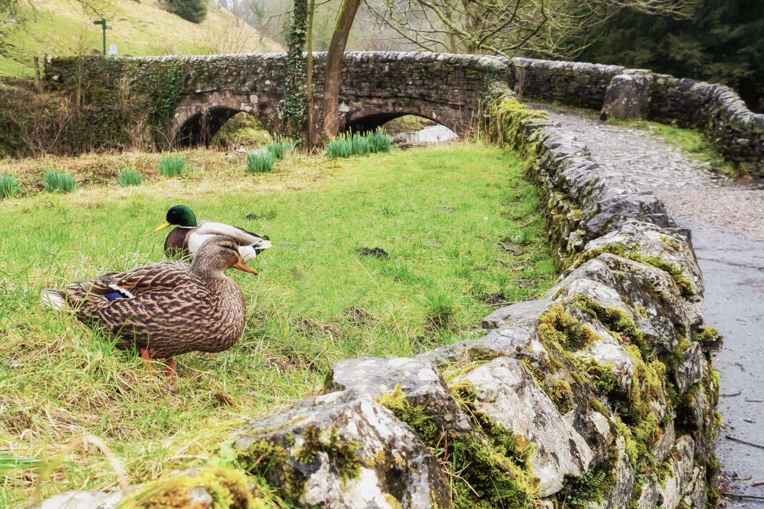 Dovedale | #1 Stunning limestone valley in the Peak District