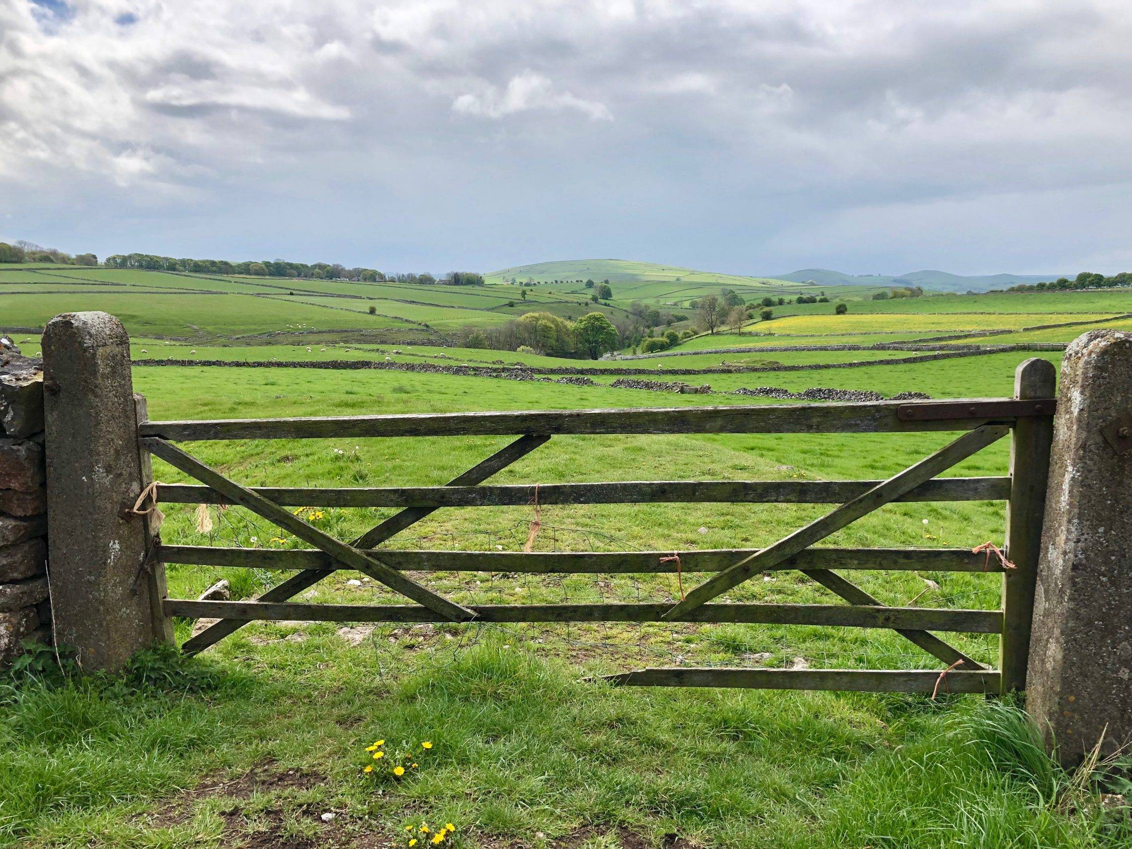 Best Parsley Hay family bike ride in the Peak District