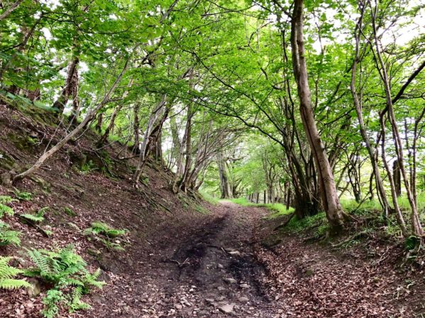 Hope Village to Hope Cross Walk (6.7 miles) - Hope Valley Walks