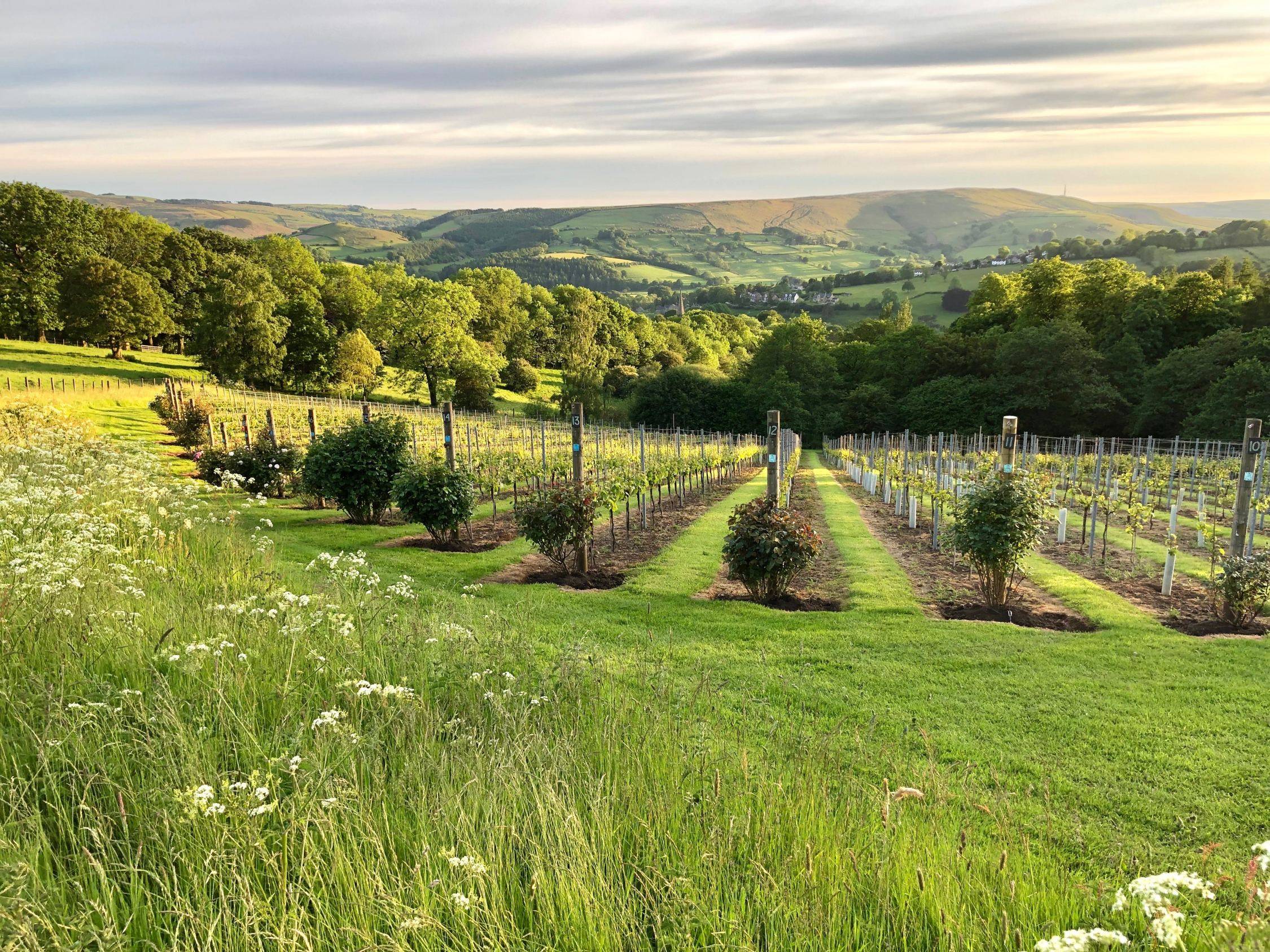 5 Peak District Train Station Walks on the Hope Valley Line