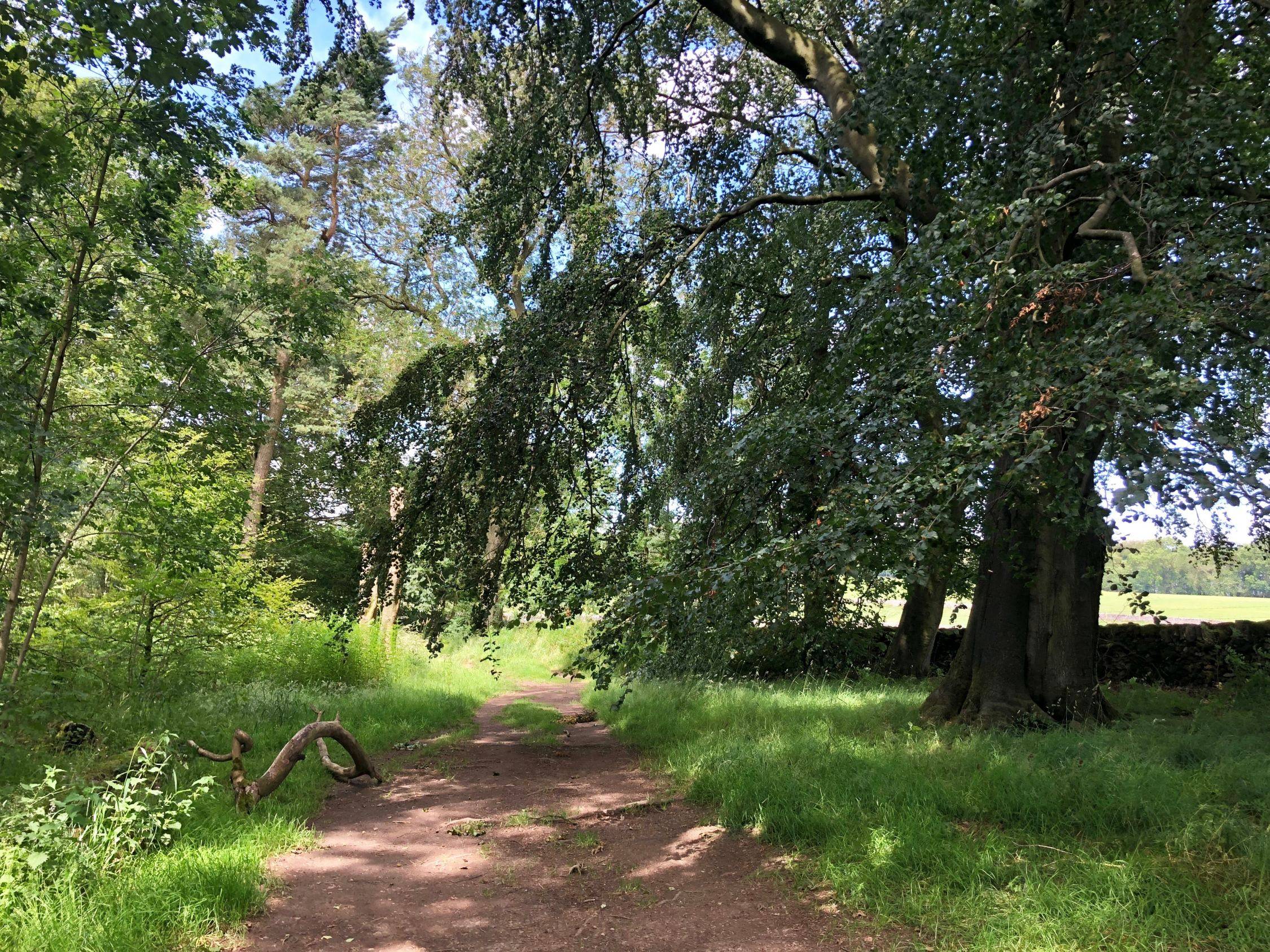 Beautiful Youlgreave - Historic Peak District Village