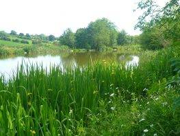 Callow Top Holiday Park | For great Peak District holidays!