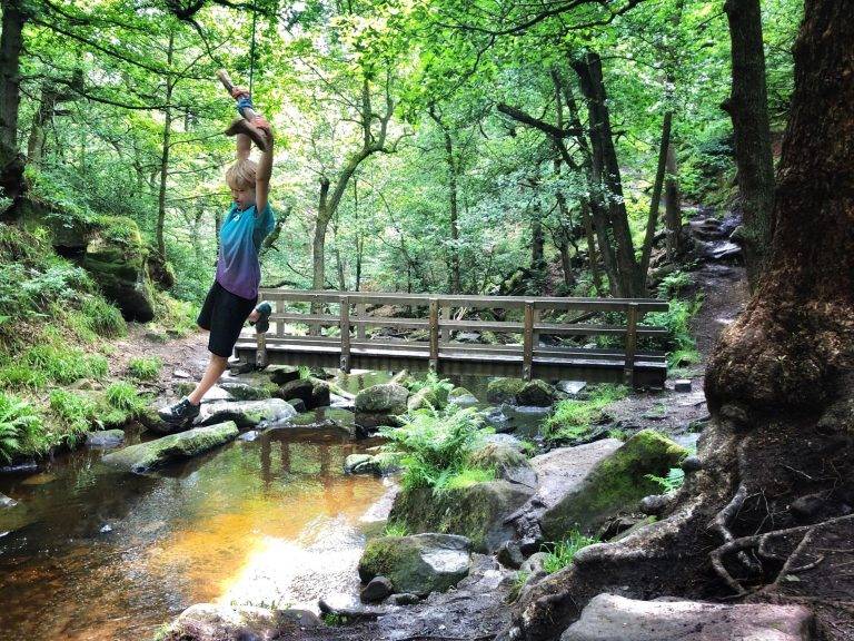 Gorgeous Padley Gorge - Peak District ancient woodland