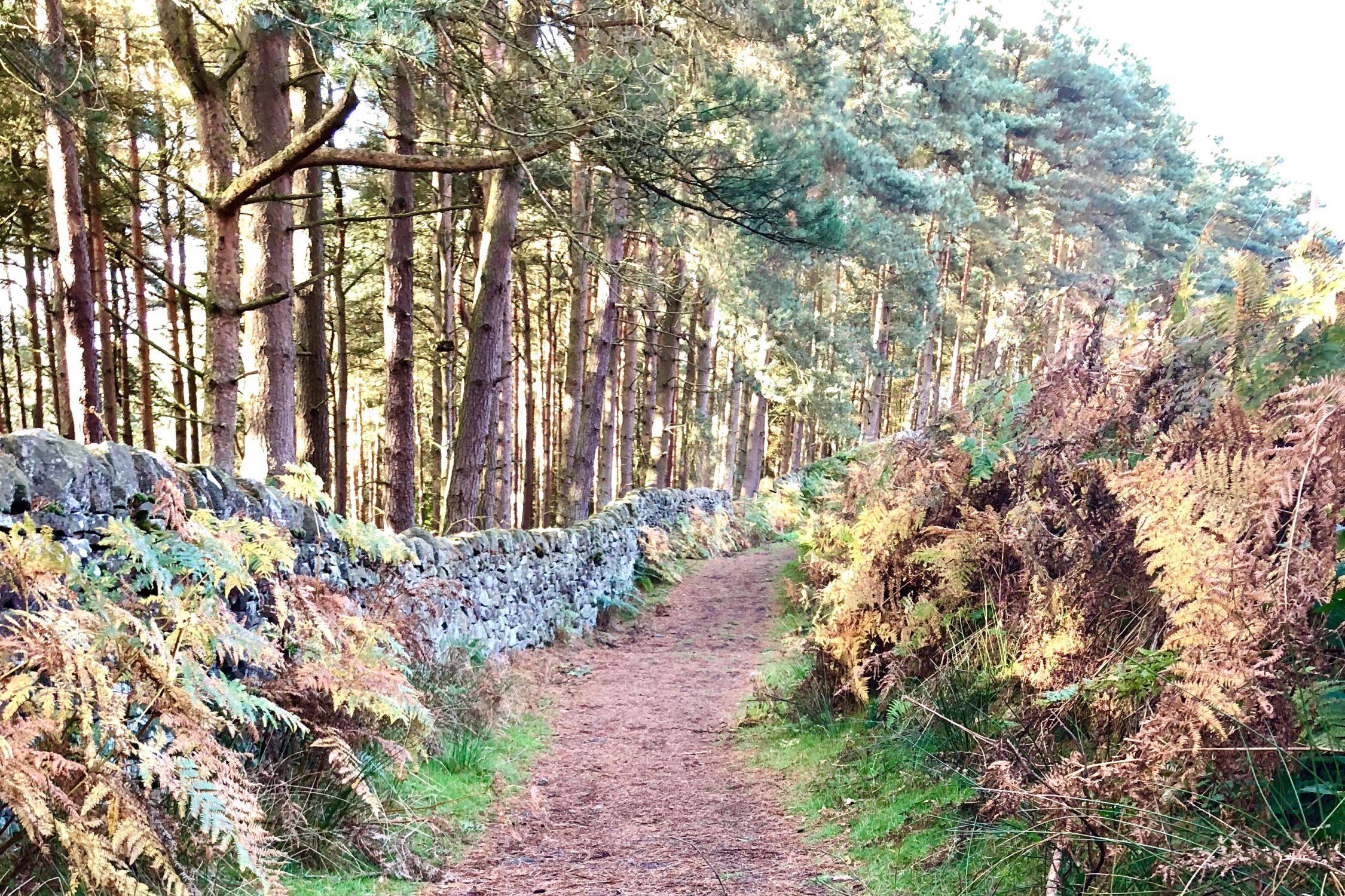 Derwent Edge (2.5 miles) - Lets Go Peak District