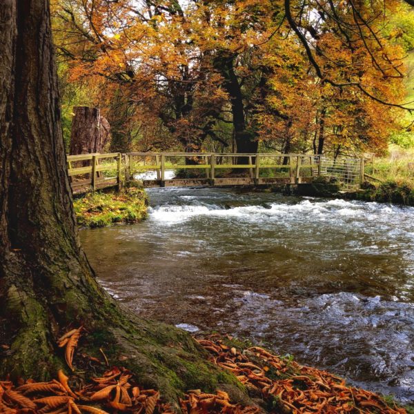 Things to do around Hartington Derbyshire Peak District
