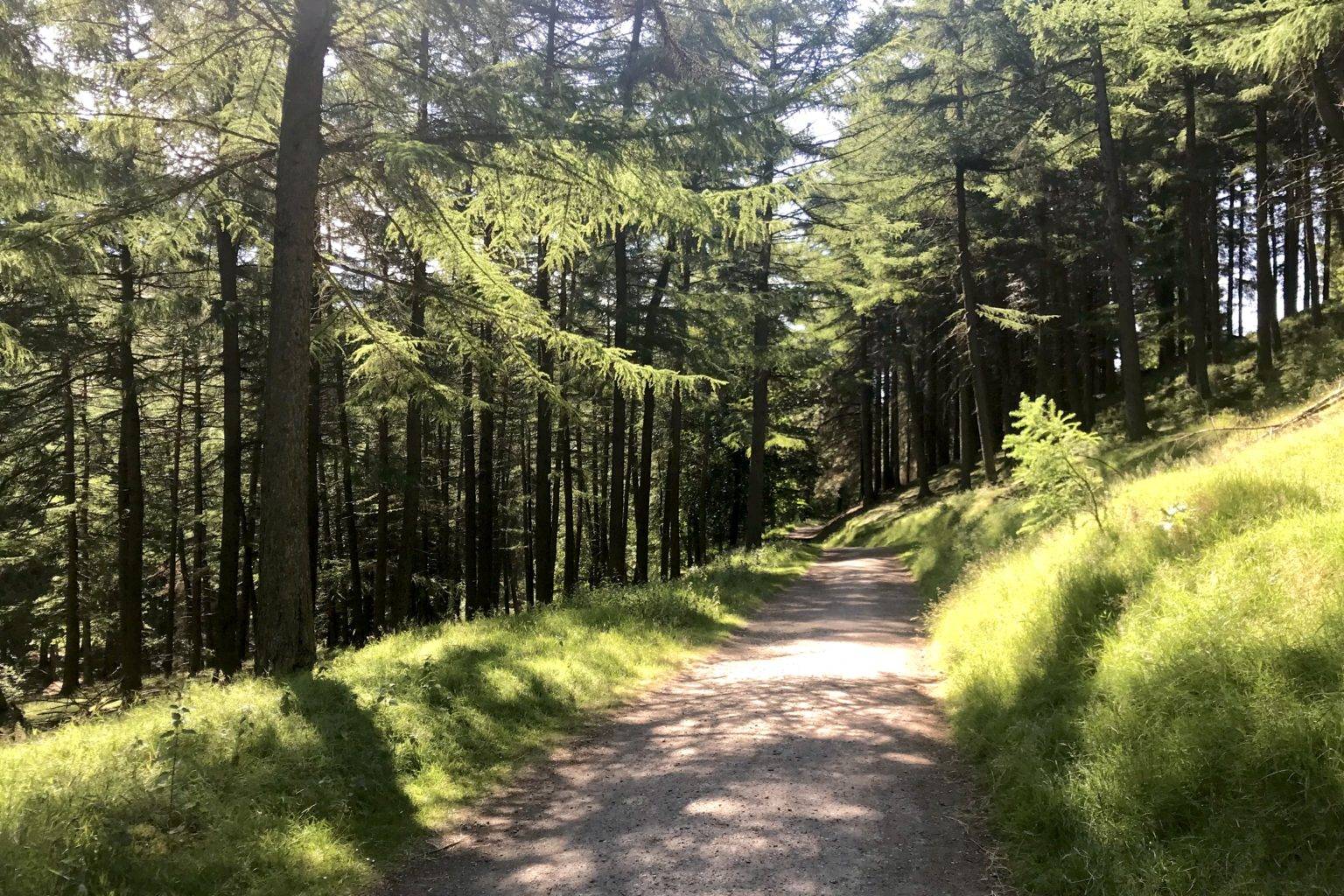 Brilliant Derwent Reservoir Walk & Howden Reservoir 10 miles