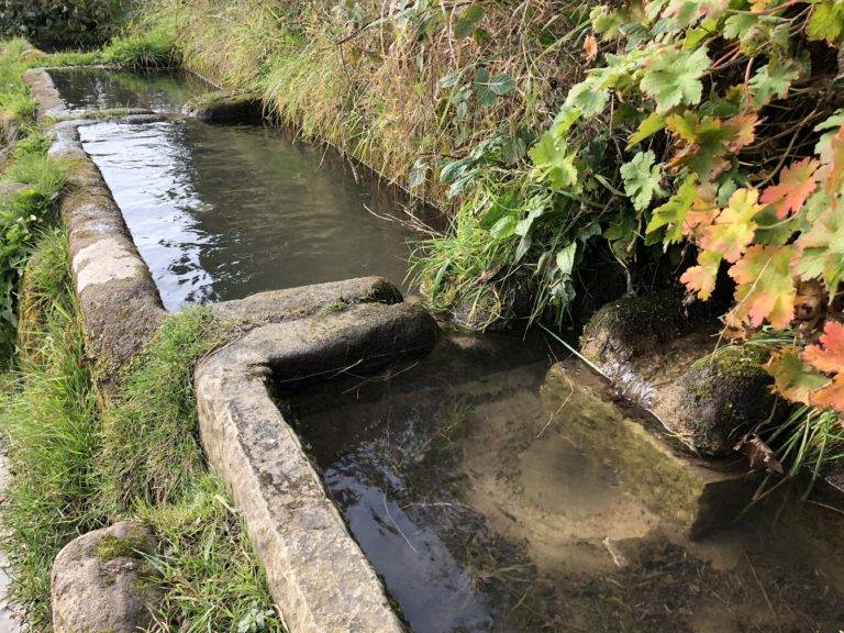 Amazing Robin Hood's Stride Walk (2 miles) - Great for kids!