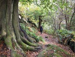 Amazing Robin Hood's Stride Walk (2 miles) - Great for kids!
