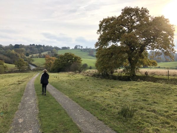 Amazing Robin Hood's Stride Walk (2 miles) - Great for kids!