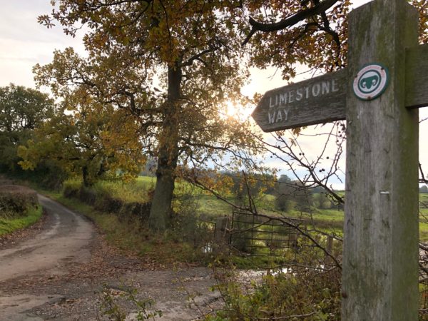 Amazing Robin Hood's Stride Walk (2 miles) - Great for kids!
