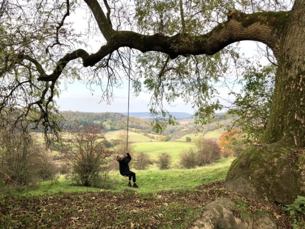 Amazing Robin Hood's Stride Walk (2 miles) - Great for kids!