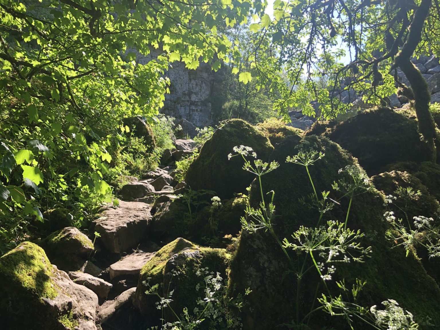 Brilliant Monyash & Lathkill Dale Walk - Monyash Walk