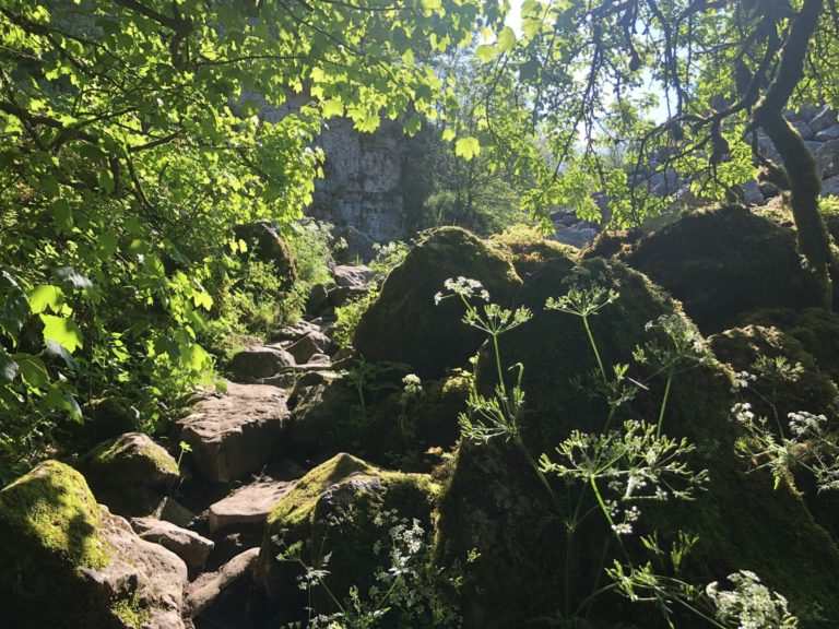 Brilliant Monyash & Lathkill Dale Walk - Monyash Walk