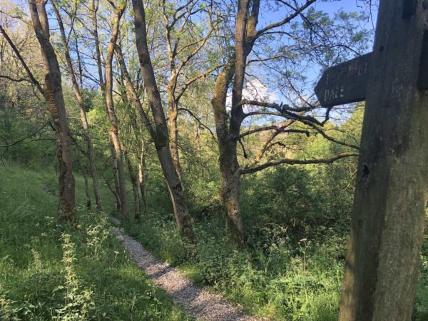 Brilliant Monyash & Lathkill Dale Walk - Monyash Walk