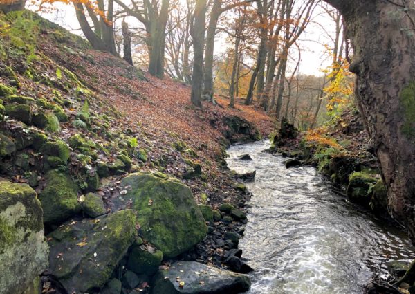 Amazing Lumsdale Falls in The Lumsdale Valley Let's Go