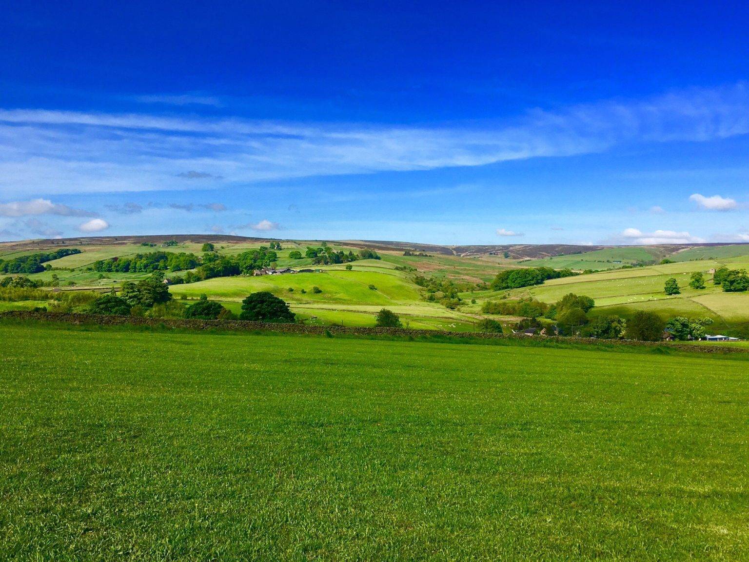 Longnor Wood Holiday Park - Perfect Peak District camping!
