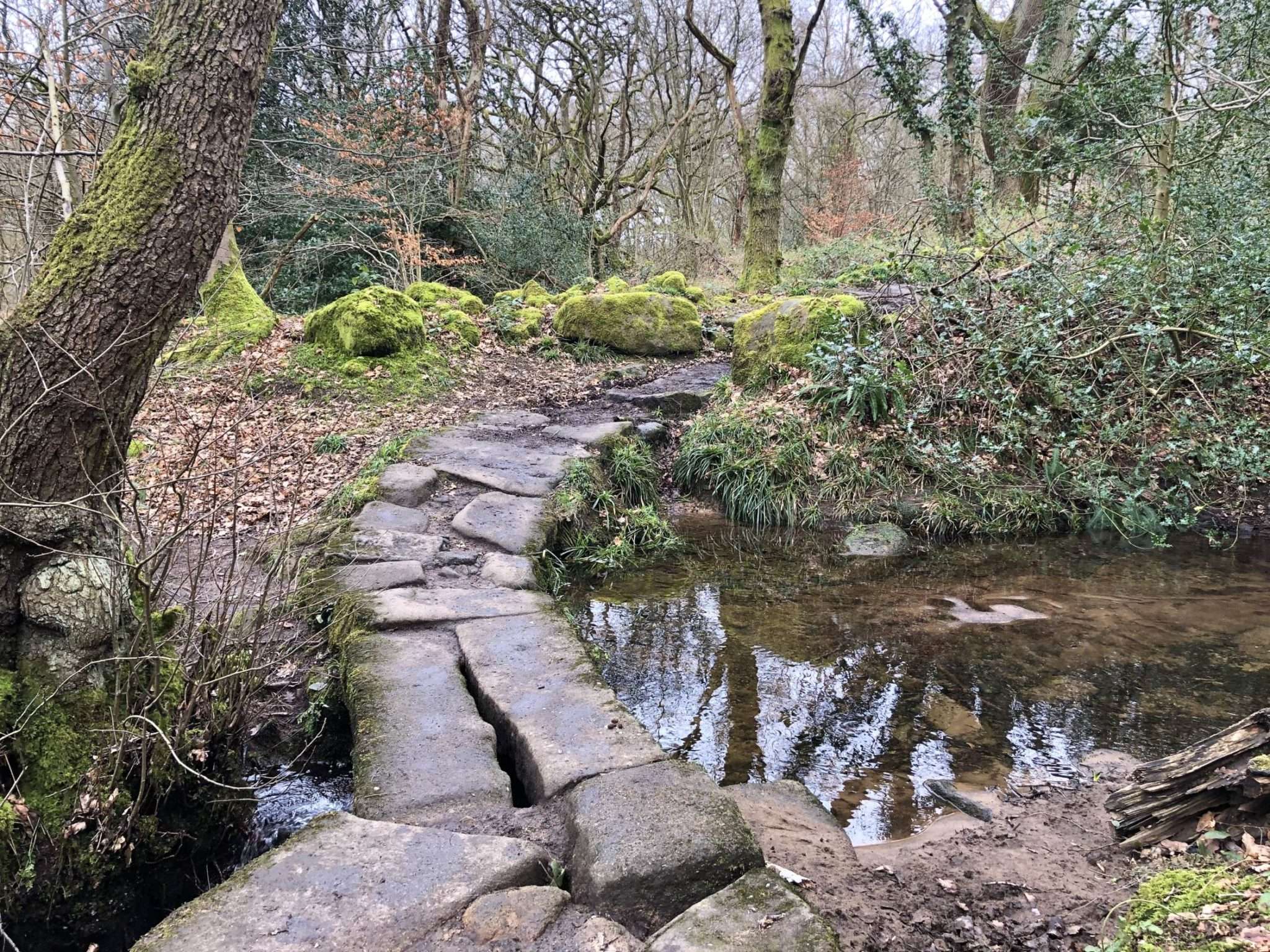 Great Curbar Edge Walk inc. Froggatt & Baslow Edge 8 miles