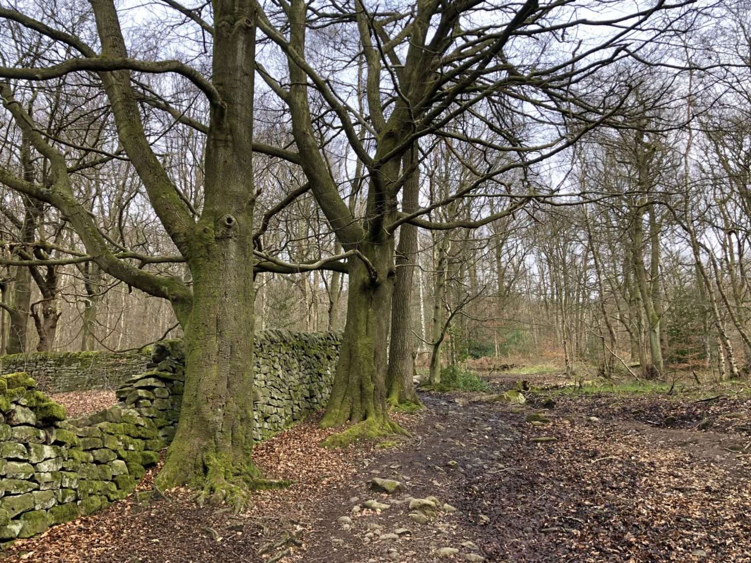 Great Curbar Edge Walk inc. Froggatt & Baslow Edge 8 miles