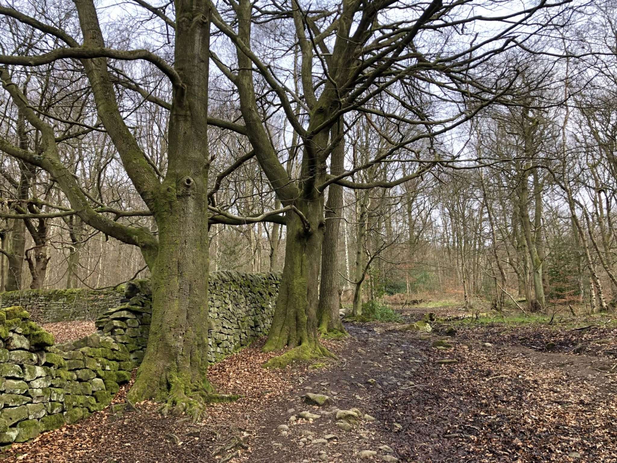 Great Curbar Edge Walk inc. Froggatt & Baslow Edge 8 miles