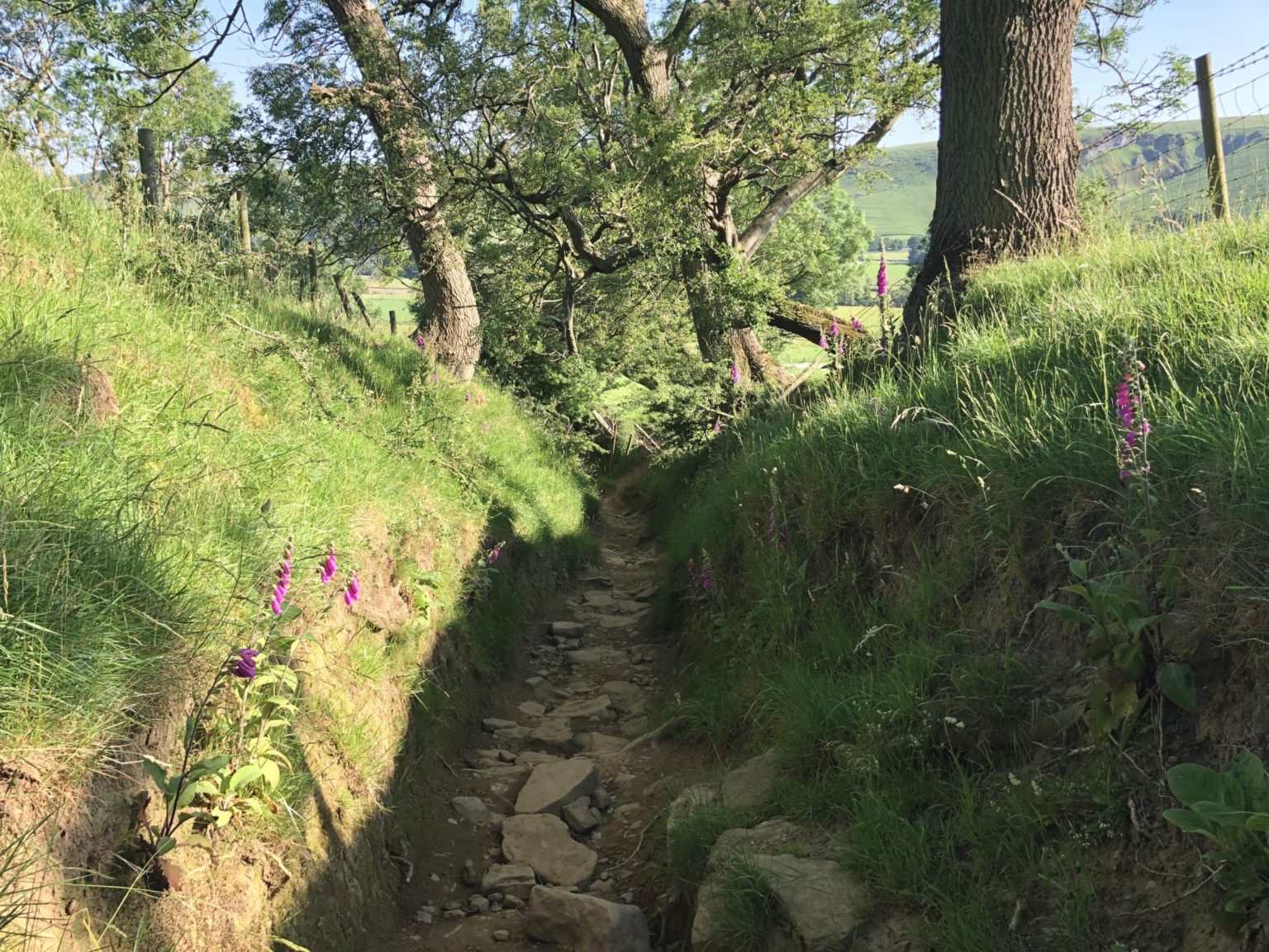 Stunning Castleton Circular Walk via Mam Tor (5.5 miles)