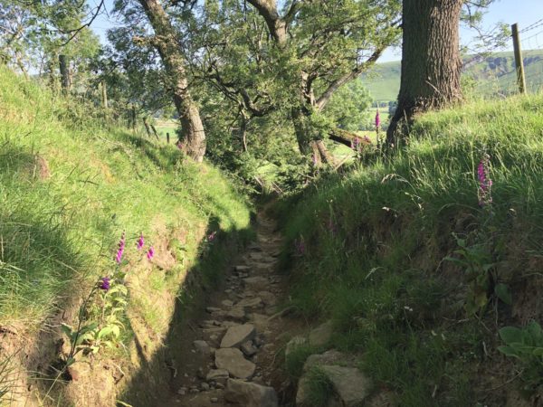 Stunning Castleton Circular Walk via Mam Tor (5.5 miles)