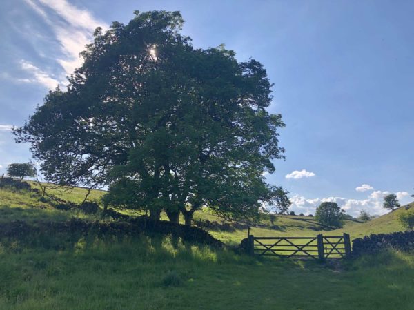 Brilliant Monyash & Lathkill Dale Walk - Monyash Walk