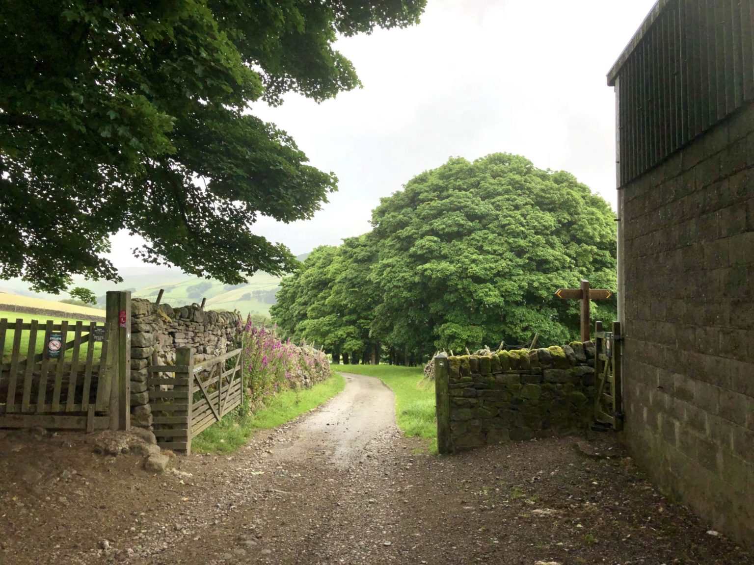 The Secret Side of Ladybower Walk (8.1 miles)