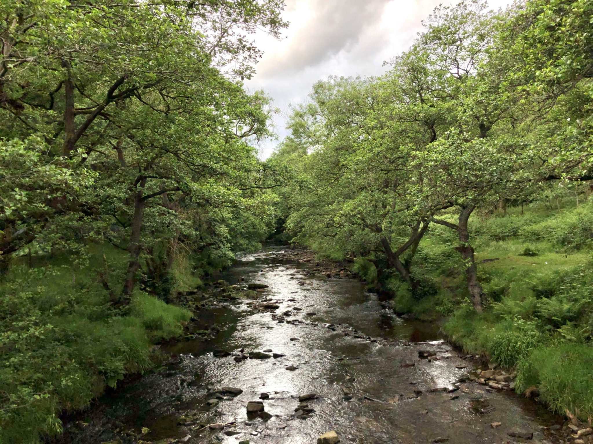 The Secret Side of Ladybower Walk (8.1 miles)