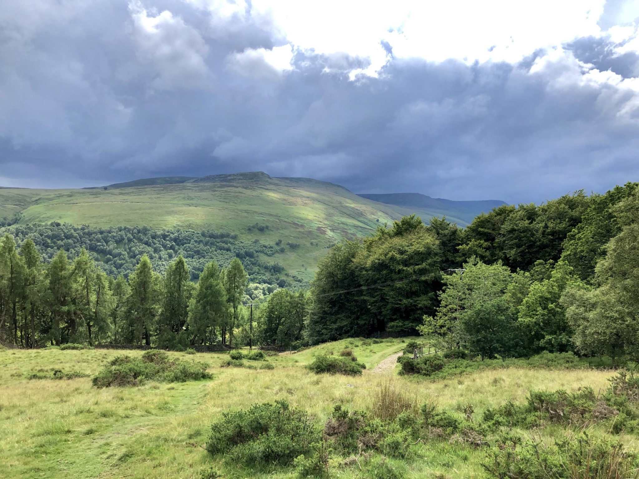 The Secret Side of Ladybower Walk (8.1 miles)