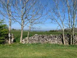 Common End Farm Campsite - Great camping in Peak District