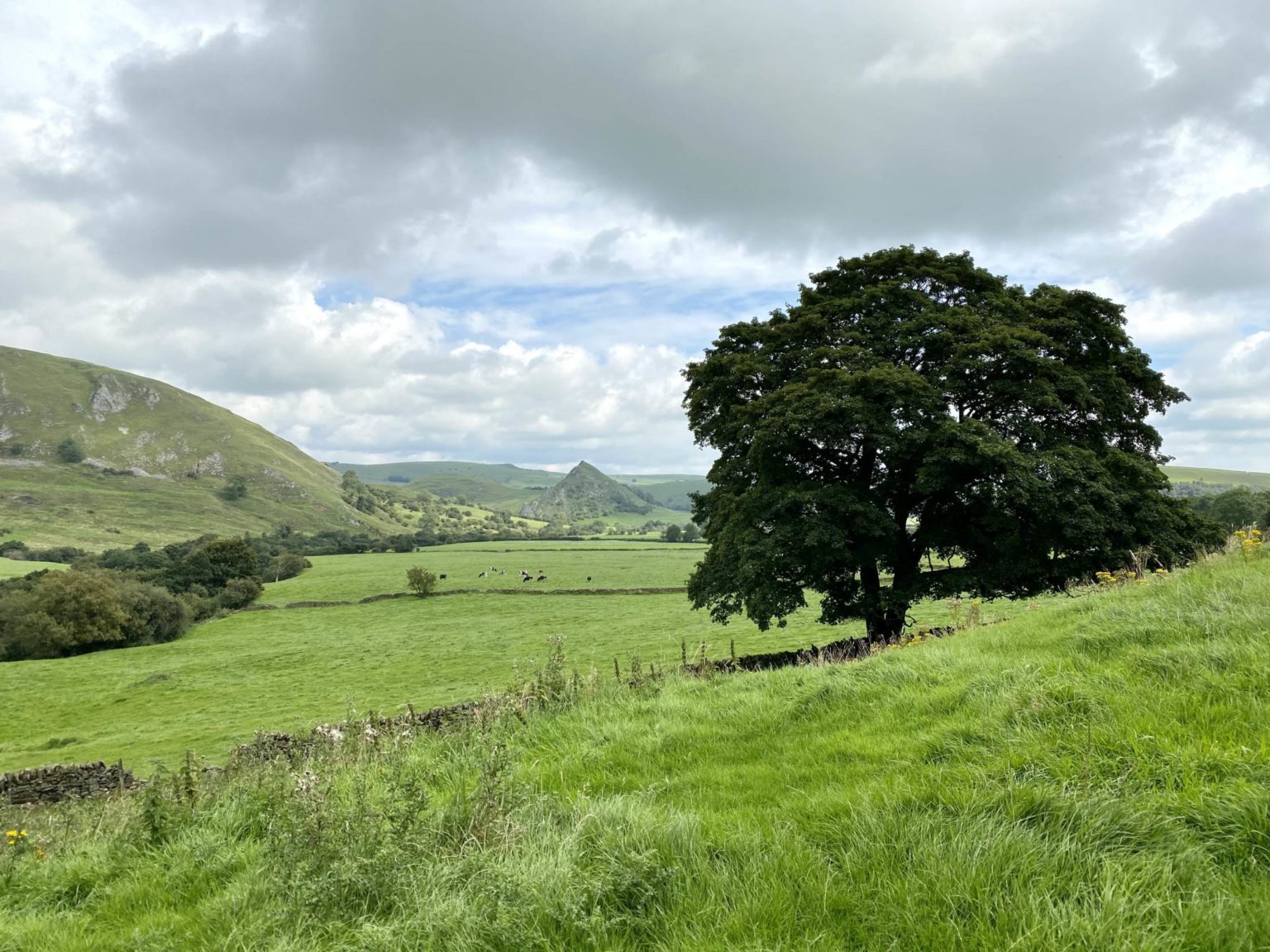 Amazing Dragon's Back Walk (3.9 miles) - Stunning Views