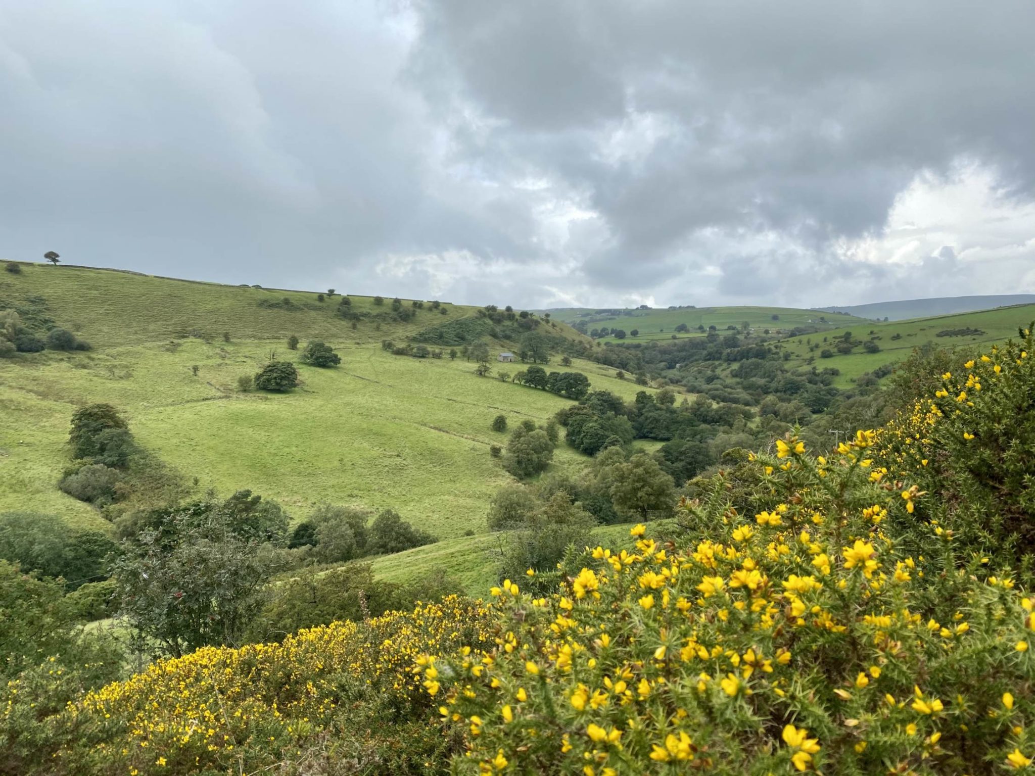 Amazing Dragon's Back Walk (3.9 miles) - Stunning Views