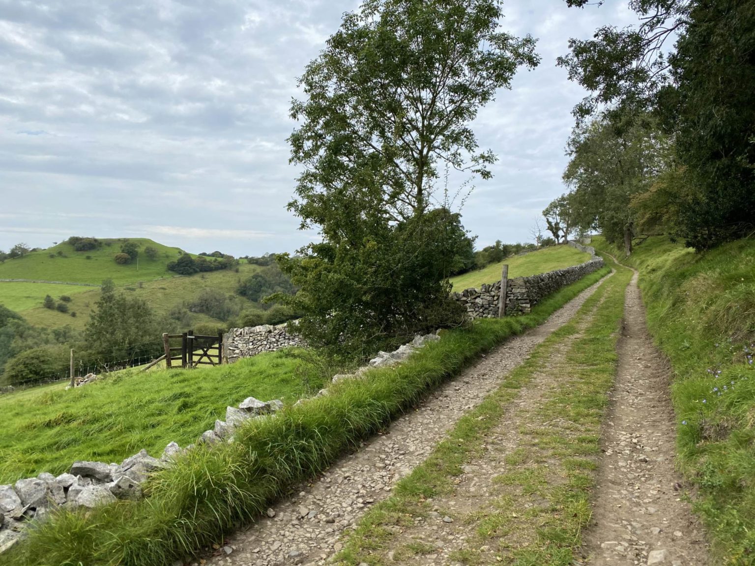 Beautiful Tideswell Walk (6 miles) - dog friendly, no cows!