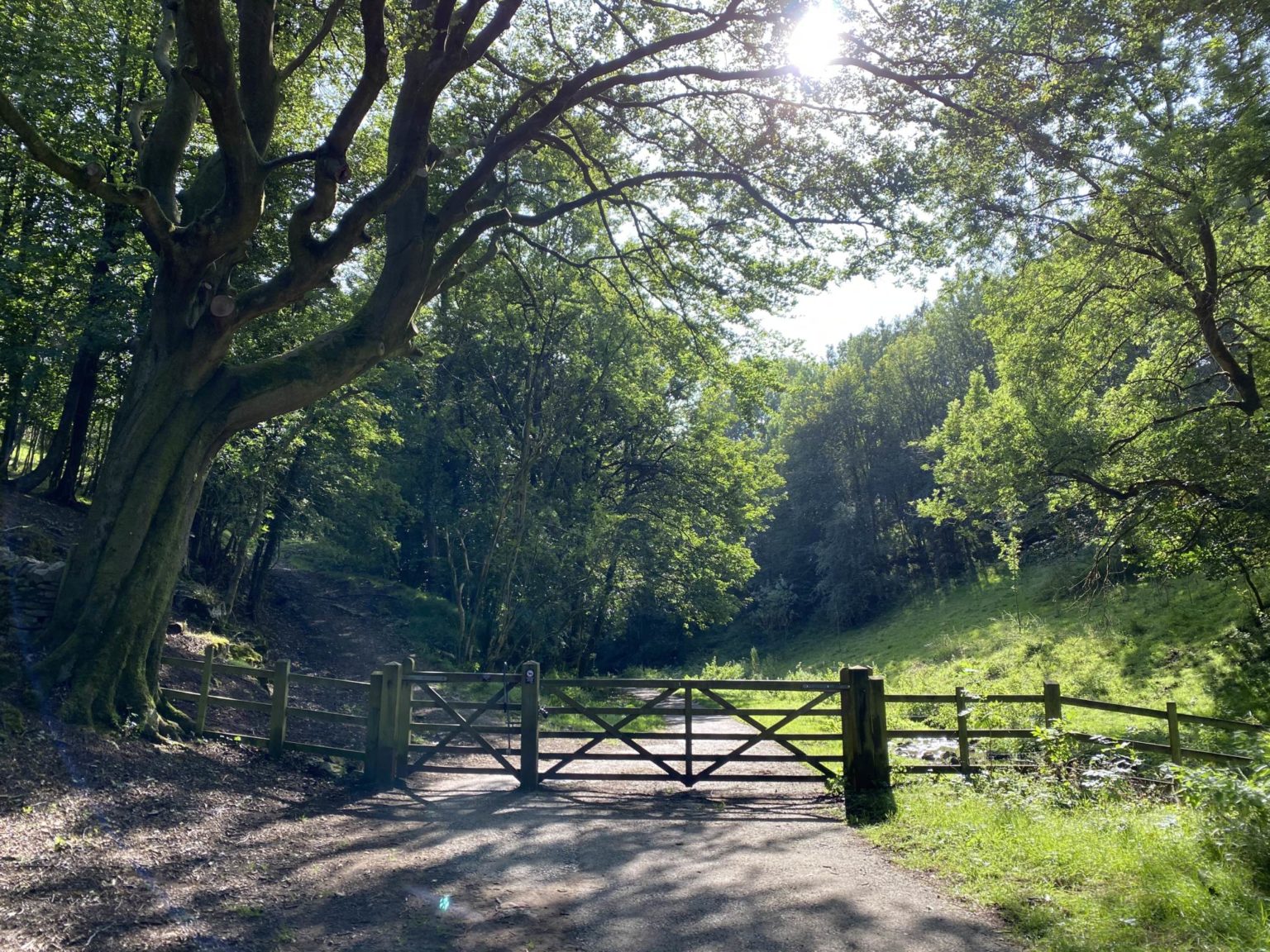 Tideswell Dale | Beautiful Peak District nature reserve
