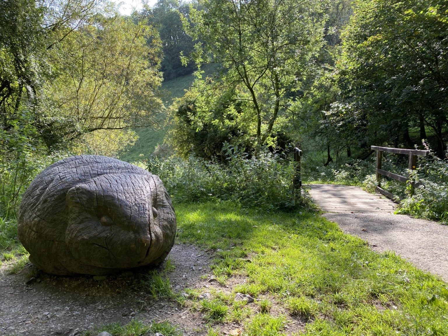 Tideswell Dale | Beautiful Peak District nature reserve
