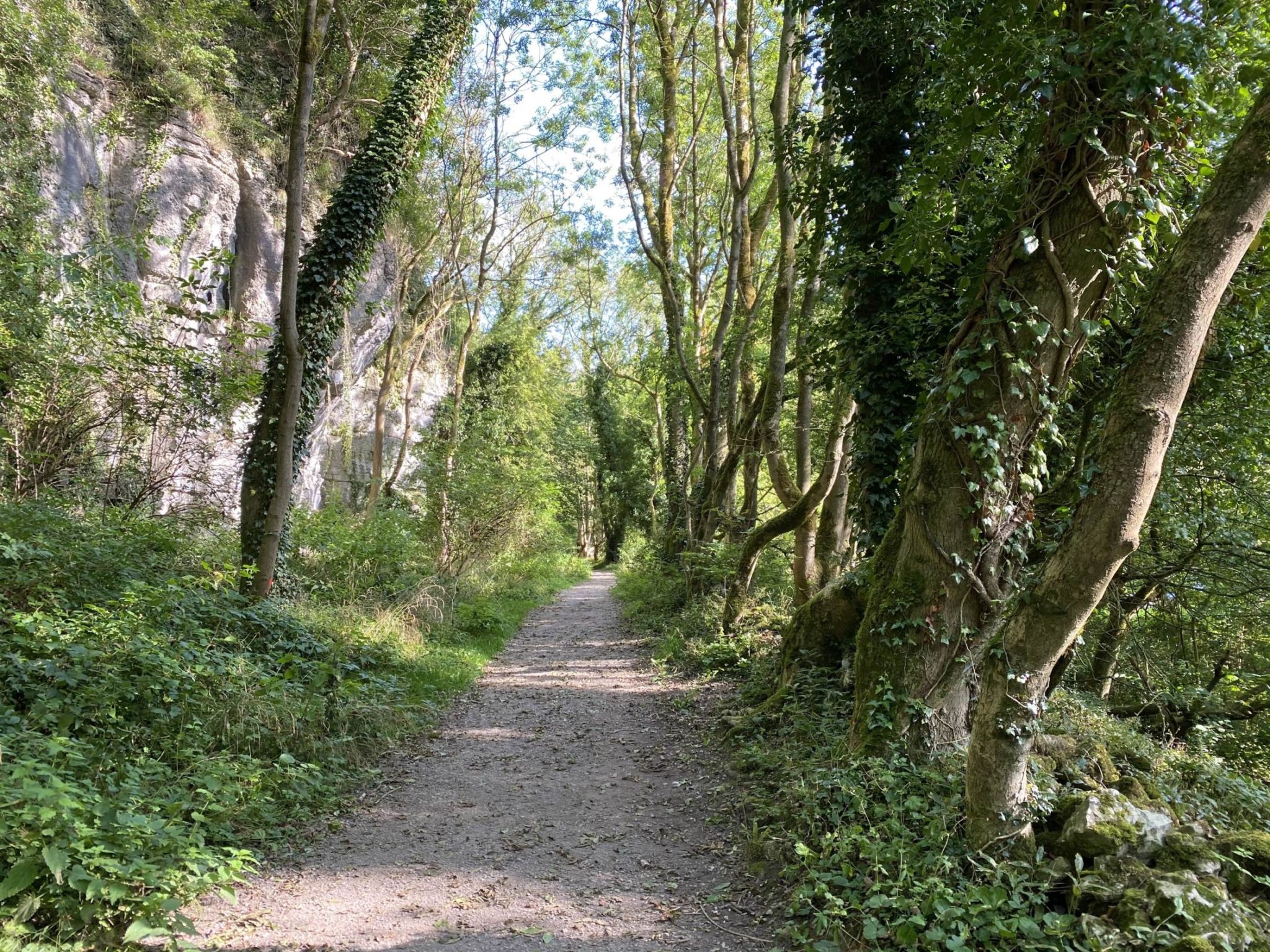 Tideswell Dale | Beautiful Peak District nature reserve