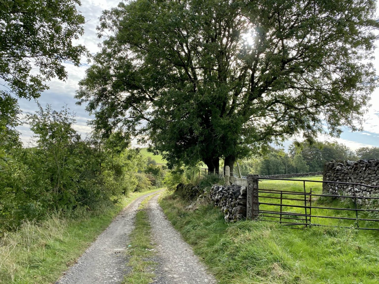 Beautiful Tideswell Walk (6 miles) - dog friendly, no cows!