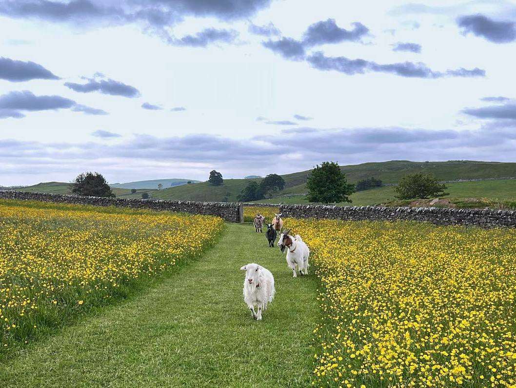Lower Damgate Farm | Stunning wedding venue & group accommodation