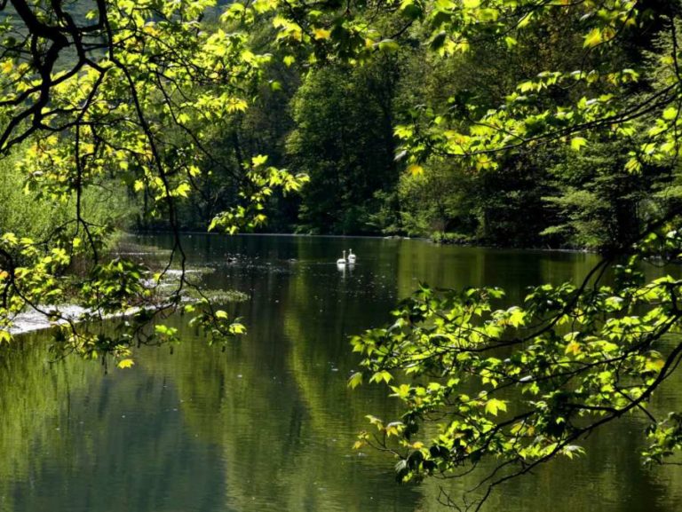 Anglers Rest | Family-run, riverside pub in excellent location