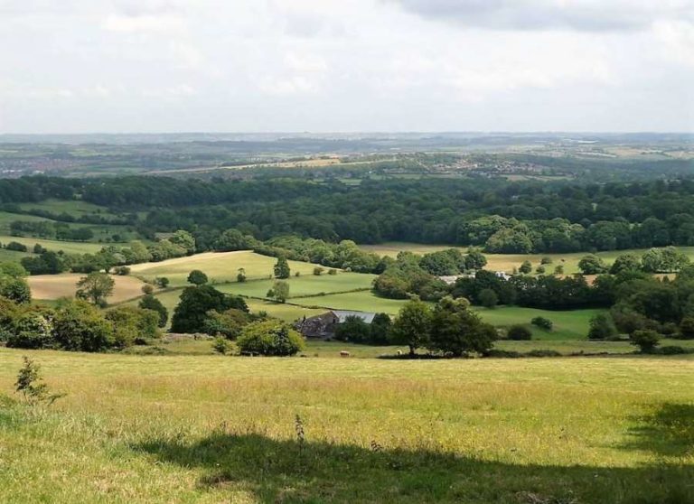 Highfield House Farm Shop & Tea Rooms | Premier Local Produce