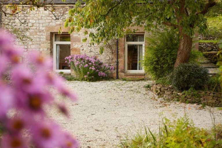 Rewilded Retreats | Self Discovery Through Nature in the Peak District