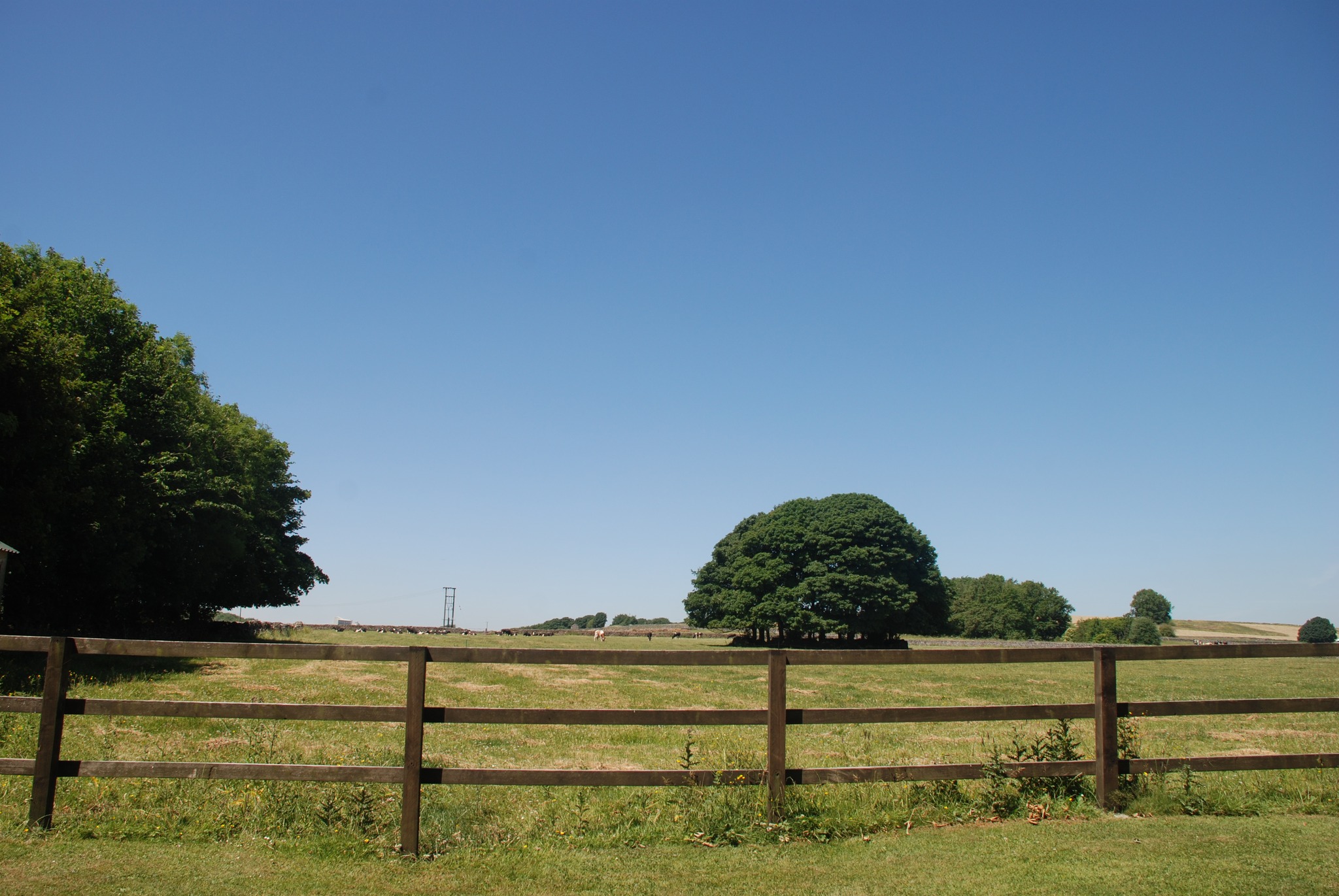 Pomeroy Farm | Fabulous Campsite and Artisan Ice Cream Shop