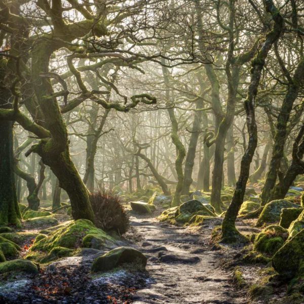 Complete Guide to Peak District Walks: 40+ Best Routes