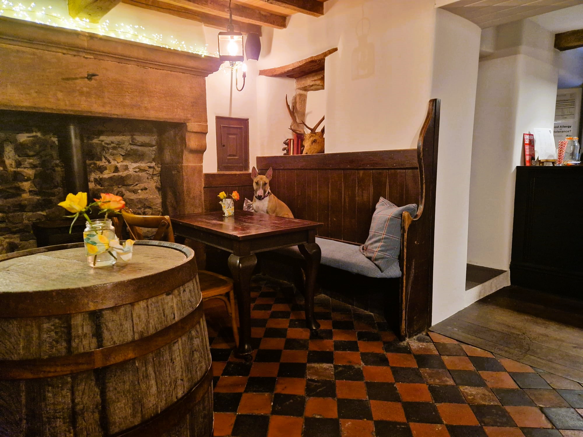 The Jervis Arms | Family friendly pub on banks of River Hamp